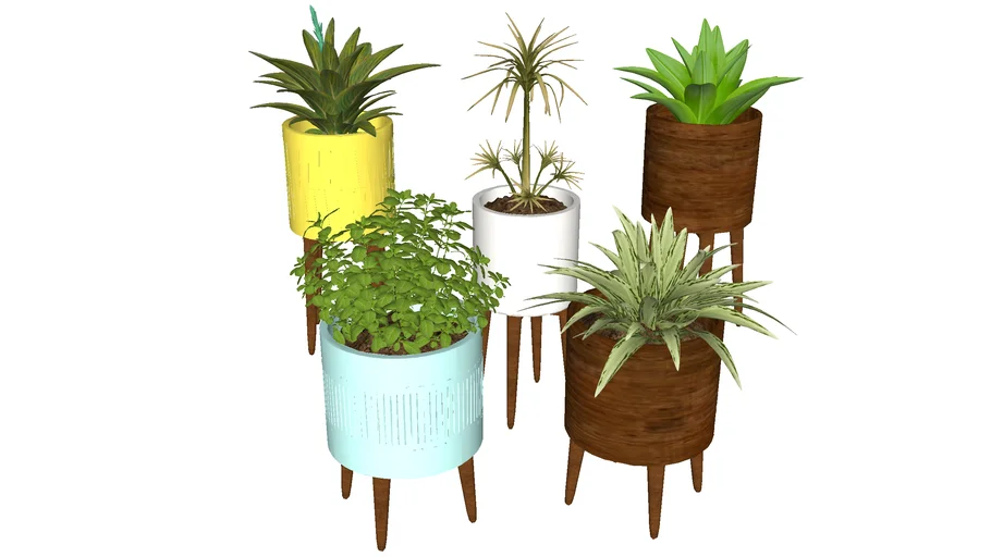 PLANT-24+-2012.skp | 3D Warehouse