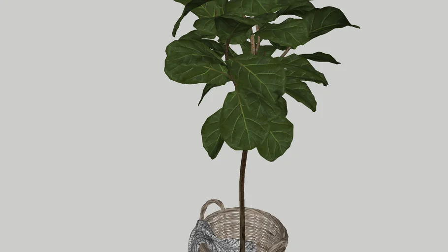 BANG SINGAPORE | 3D Warehouse