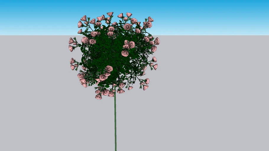 Pink Rose Tree | 3D Warehouse