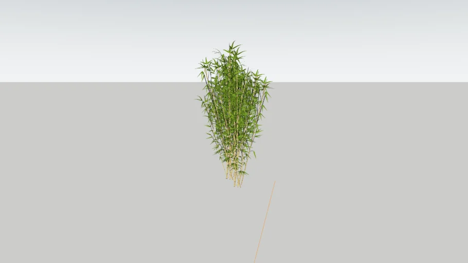 Bamboo | 3D Warehouse