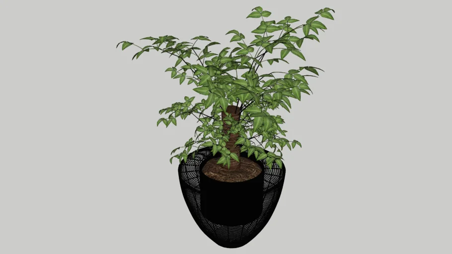 Planter (04) | 3D Warehouse