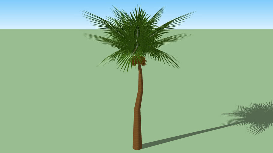 CocoNut+Tree | 3D Warehouse