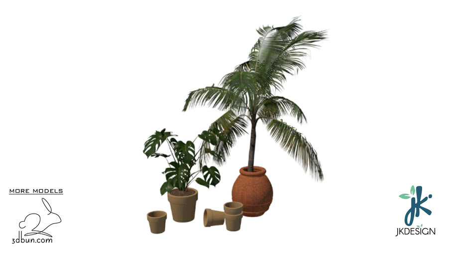 3dbun.com - Monstera and Palm | 3D Warehouse