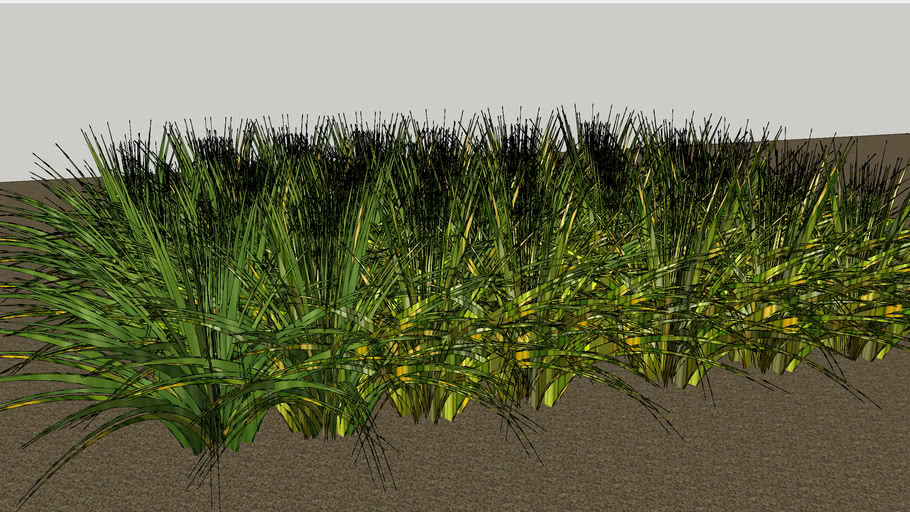 Grass | 3D Warehouse