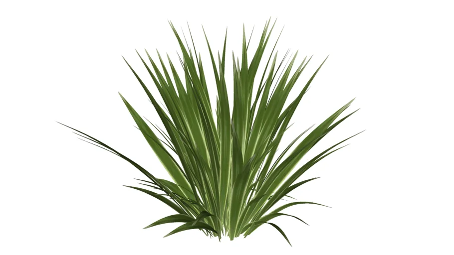 FÓRMIO VAREGATA 02 | 3D Warehouse