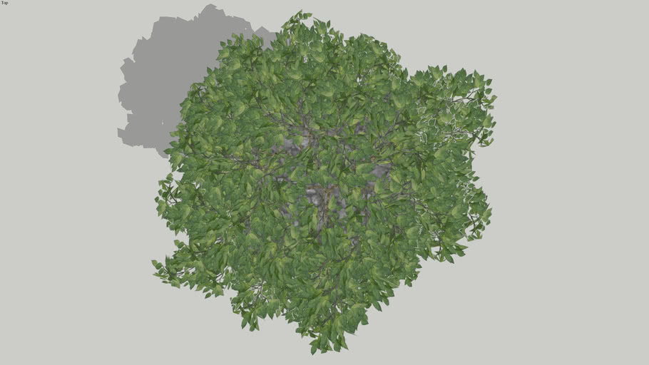 cay 2 | 3D Warehouse