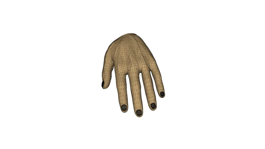 left hand | 3D Warehouse