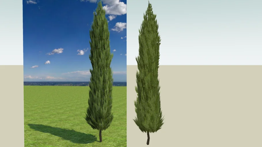 TREE | 3D Warehouse