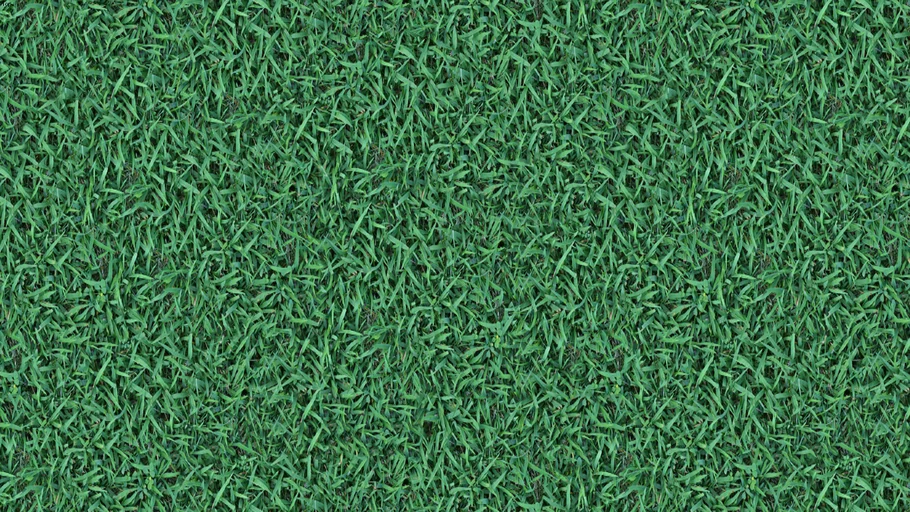 GRASS TEXTURE | 3D Warehouse