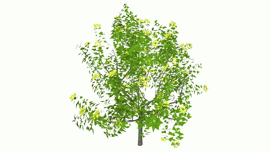 cay 1 | 3D Warehouse