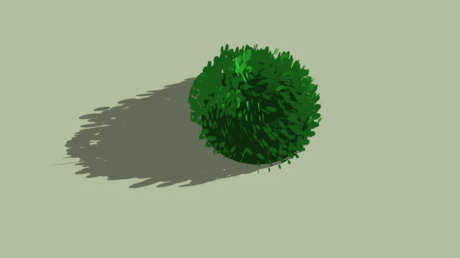 box tree | 3D Warehouse