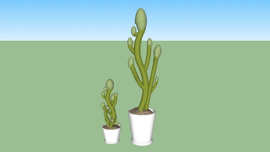 catctus plant | 3D Warehouse