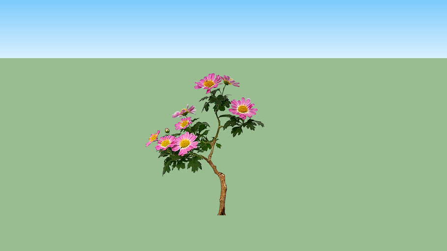 Bunga Kertas | 3D Warehouse