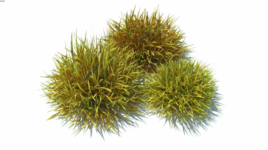 Grass_126.skp | 3D Warehouse