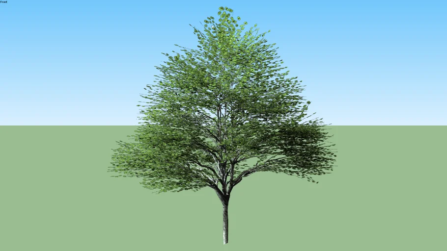 TREEE | 3D Warehouse