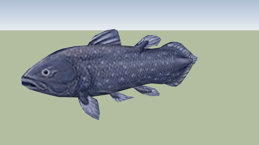 Coelacanth | 3D Warehouse