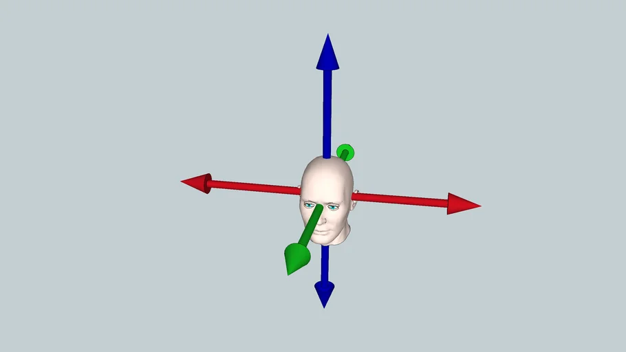 Human head on 3 axes | 3D Warehouse