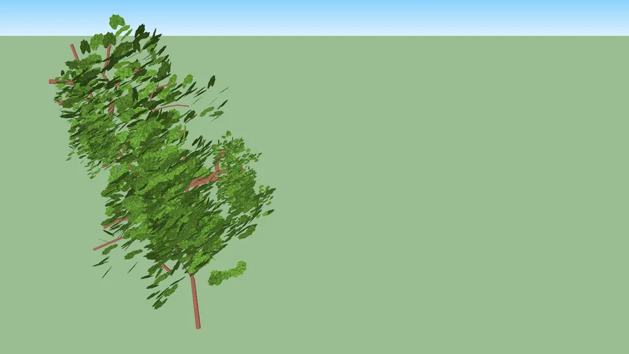 tree | 3D Warehouse