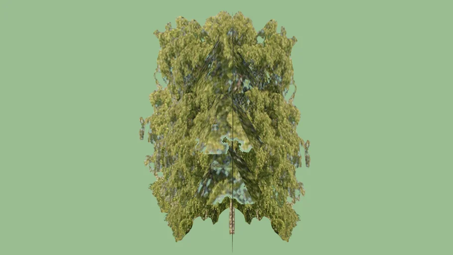 Big tree - 04 | 3D Warehouse