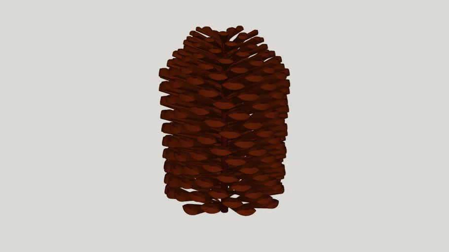 Pine cone | 3D Warehouse