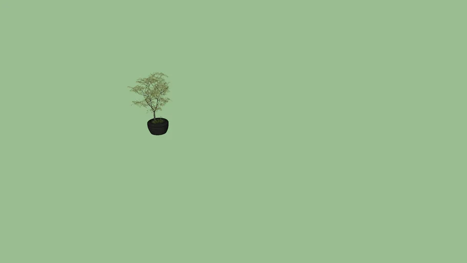 Potted Tree | 3D Warehouse