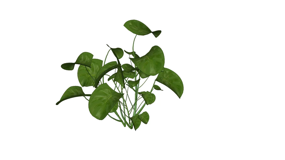 POTS PLANT (10).skp | 3D Warehouse