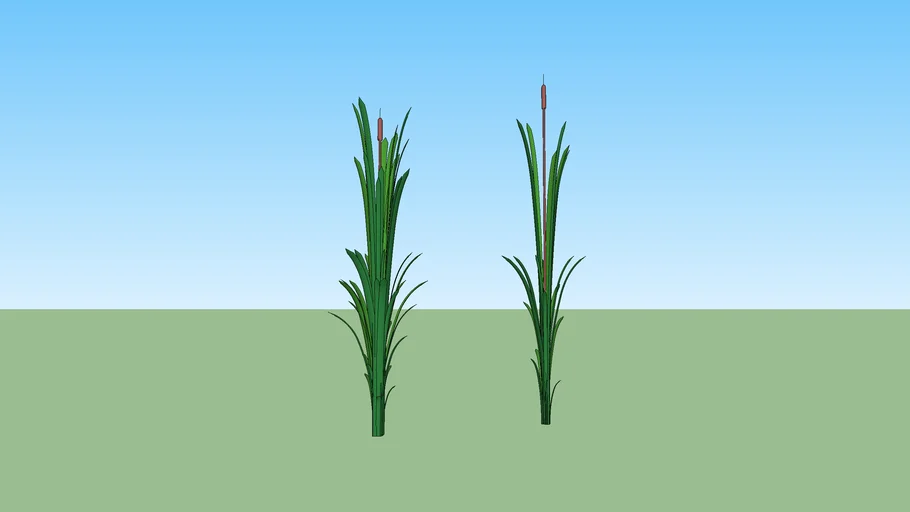 Pflanze / plant/ crop | 3D Warehouse