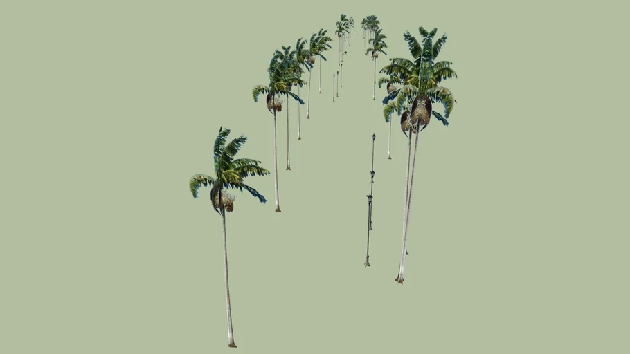 Paseo Peatonal Ricardo Jimenez(Bulevar Corte-Museo) | 3D Warehouse