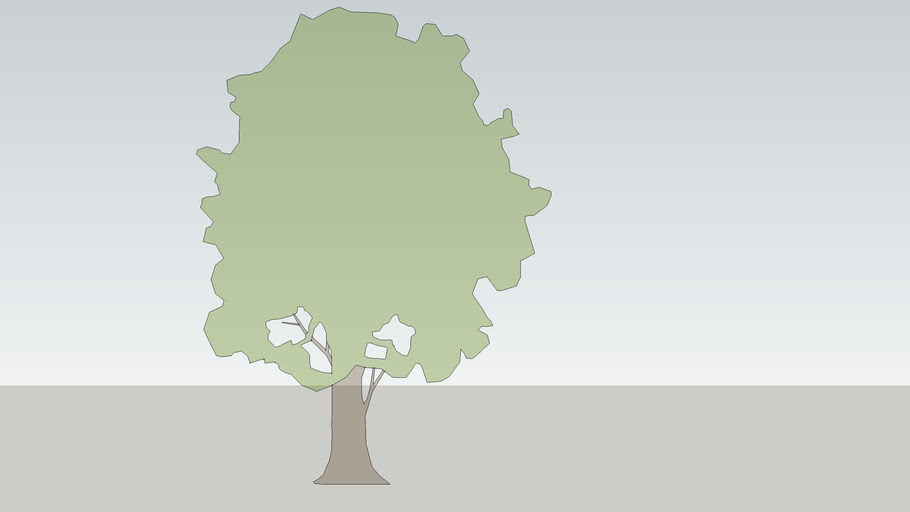 Tree1 | 3D Warehouse