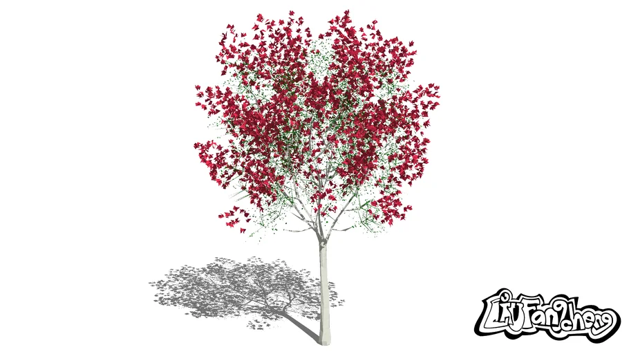 tree 1 | 3D Warehouse