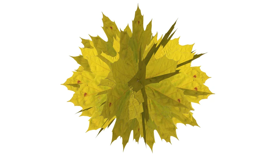 Maple Star Complex | 3D Warehouse