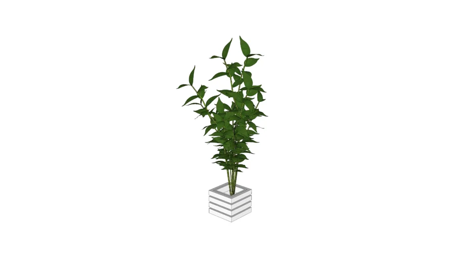 indoor plant | 3D Warehouse