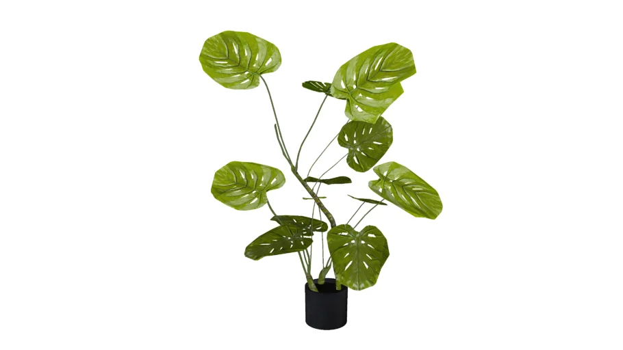 51683 Deco Plant Monstera 110cm | 3D Warehouse