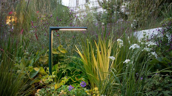 Microlighting 2020 | 3D Warehouse