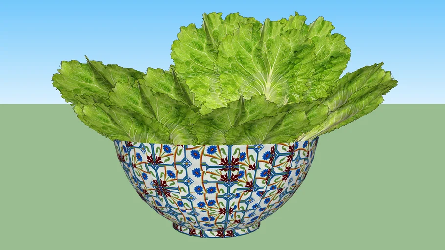 Salad | 3D Warehouse