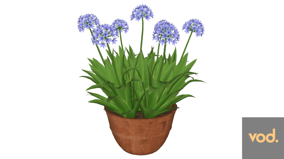 Taimed | 3D Warehouse