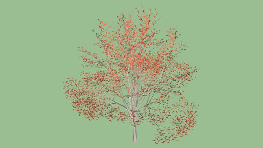 Red Street Tree | 3D Warehouse