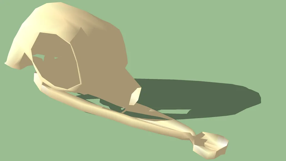 Alien skull | 3D Warehouse