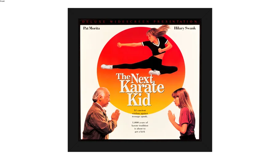 Framed Next Karate Kid Laserdisc Cover | 3D Warehouse