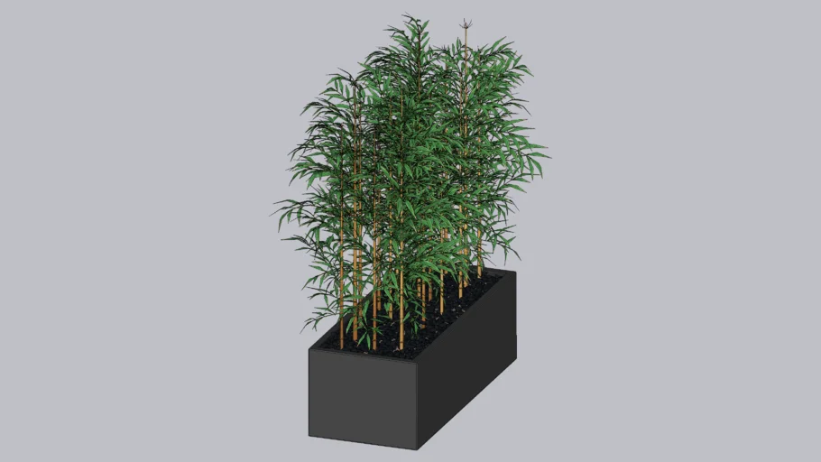 Bamboo_Plants | 3D Warehouse