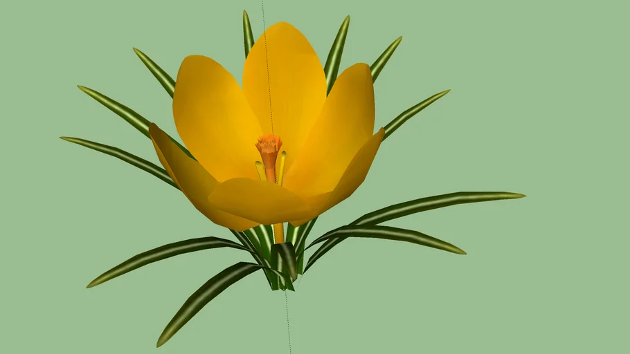 Crocus yellow | 3D Warehouse