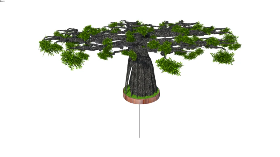 bonsai black olive tree 2d basic zeytin bonzai trees huge big nice ...