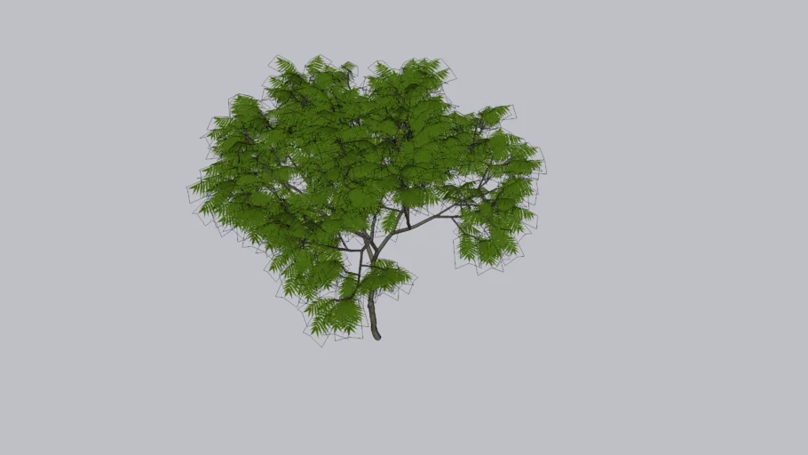 Árvore | 3D Warehouse