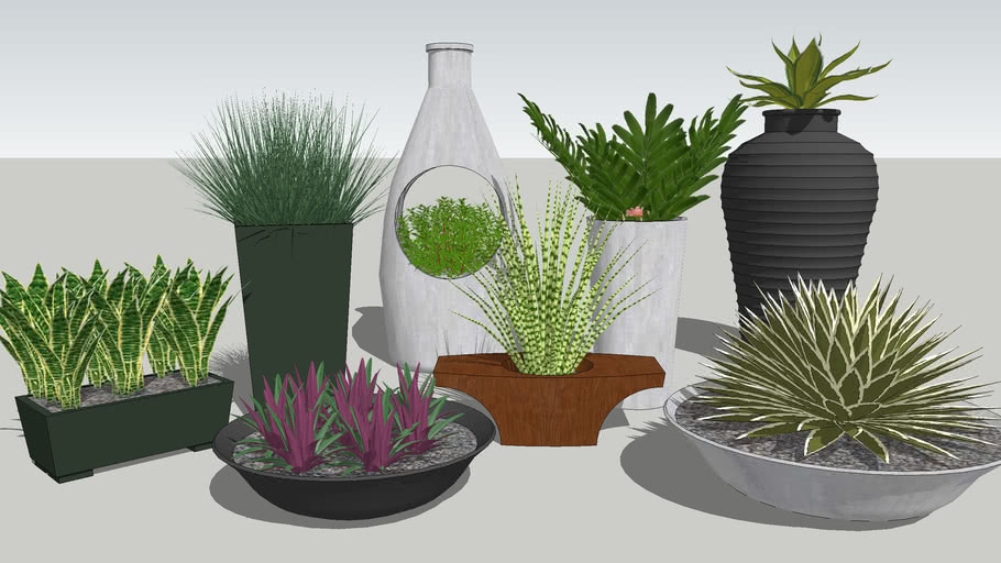 PAS BUNGA / PLANT | 3D Warehouse