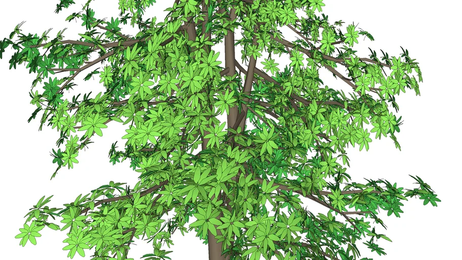 TREE 01 | 3D Warehouse