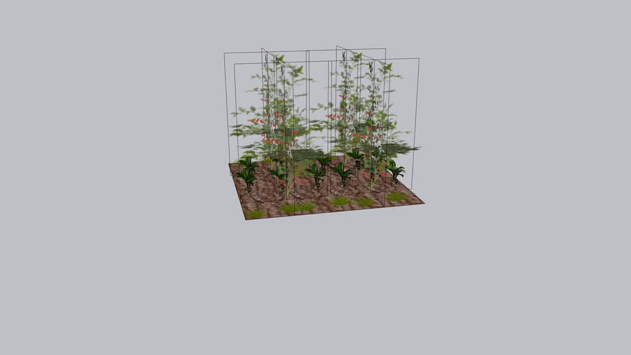 vegetable patch | 3D Warehouse