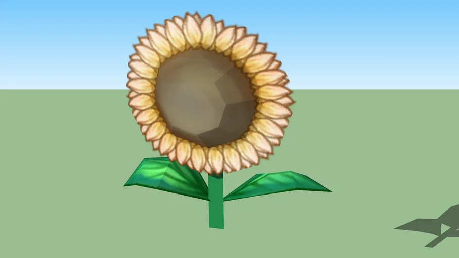 Sunflower | 3D Warehouse