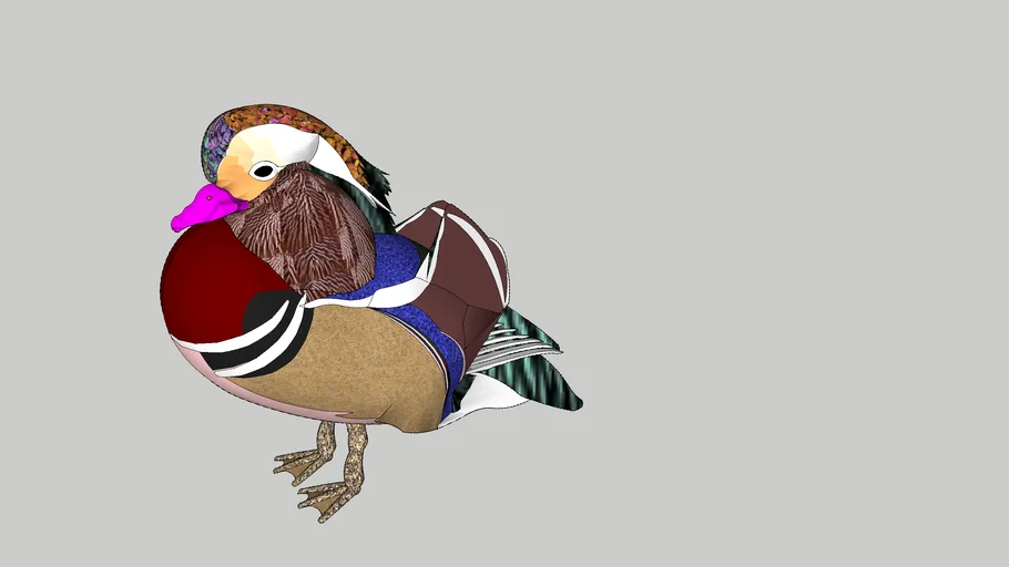 3 D Mandarin duck | 3D Warehouse