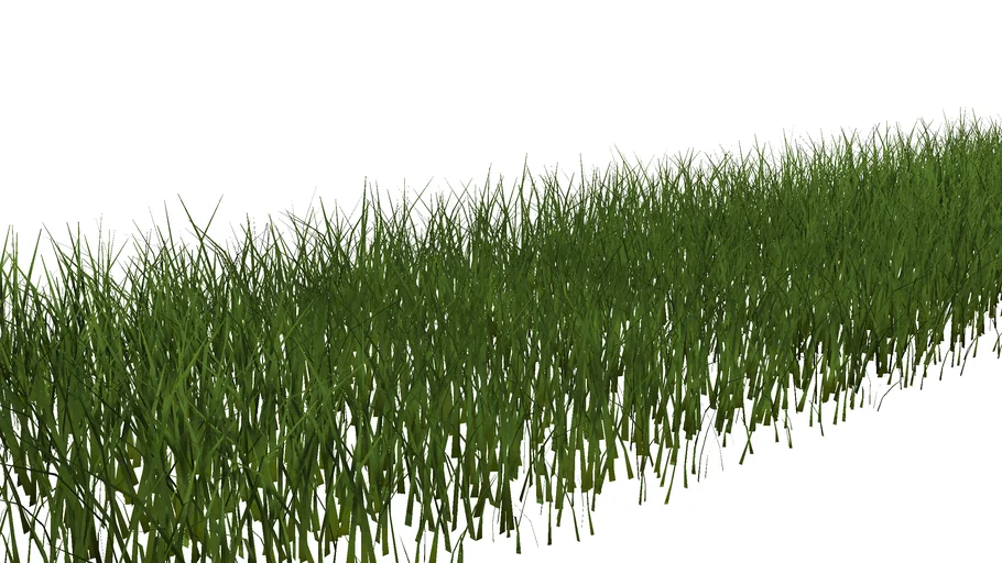 Grass 1 | 3D Warehouse