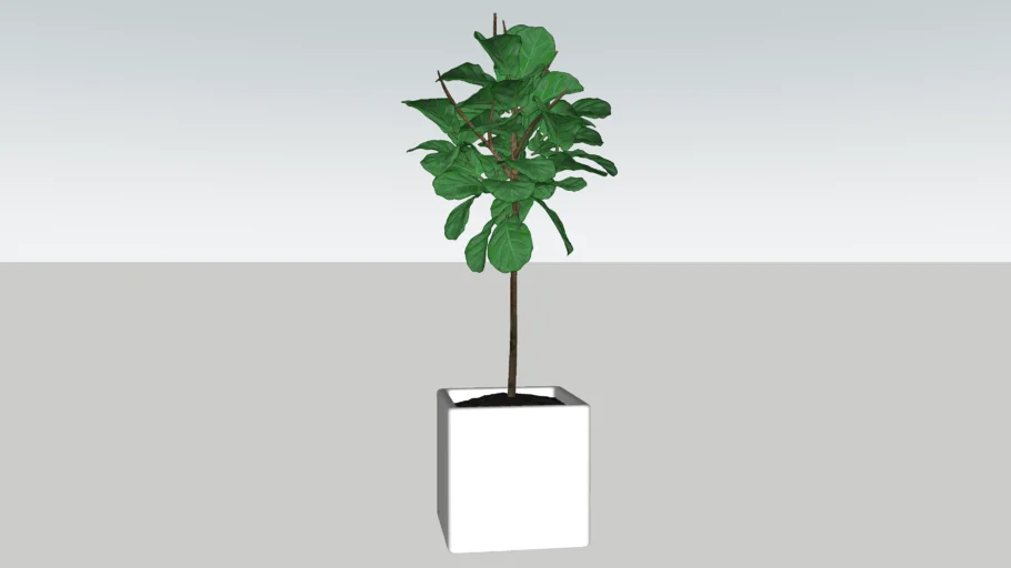 chau cay | 3D Warehouse